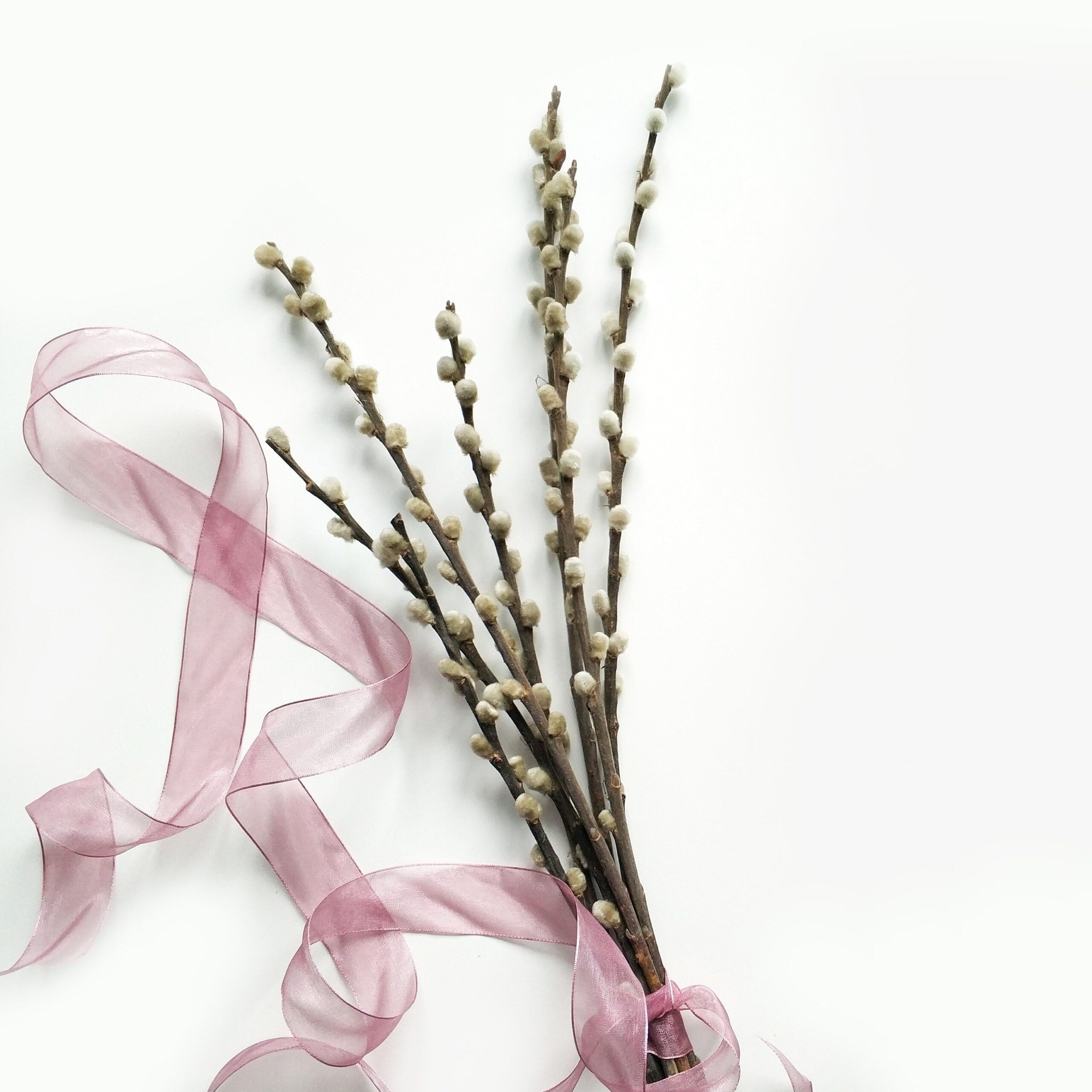 Post Mastectomy Products | TrueKare