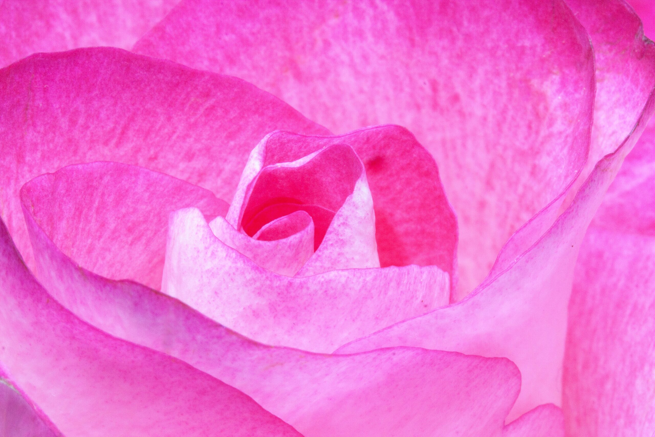 Breast Forms for Radial Mastectomies | TrueKare